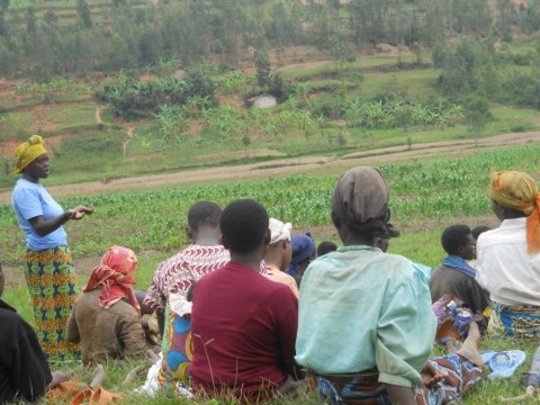 Enable 50 Rwandan Mothers to Farm for Profit - GlobalGiving