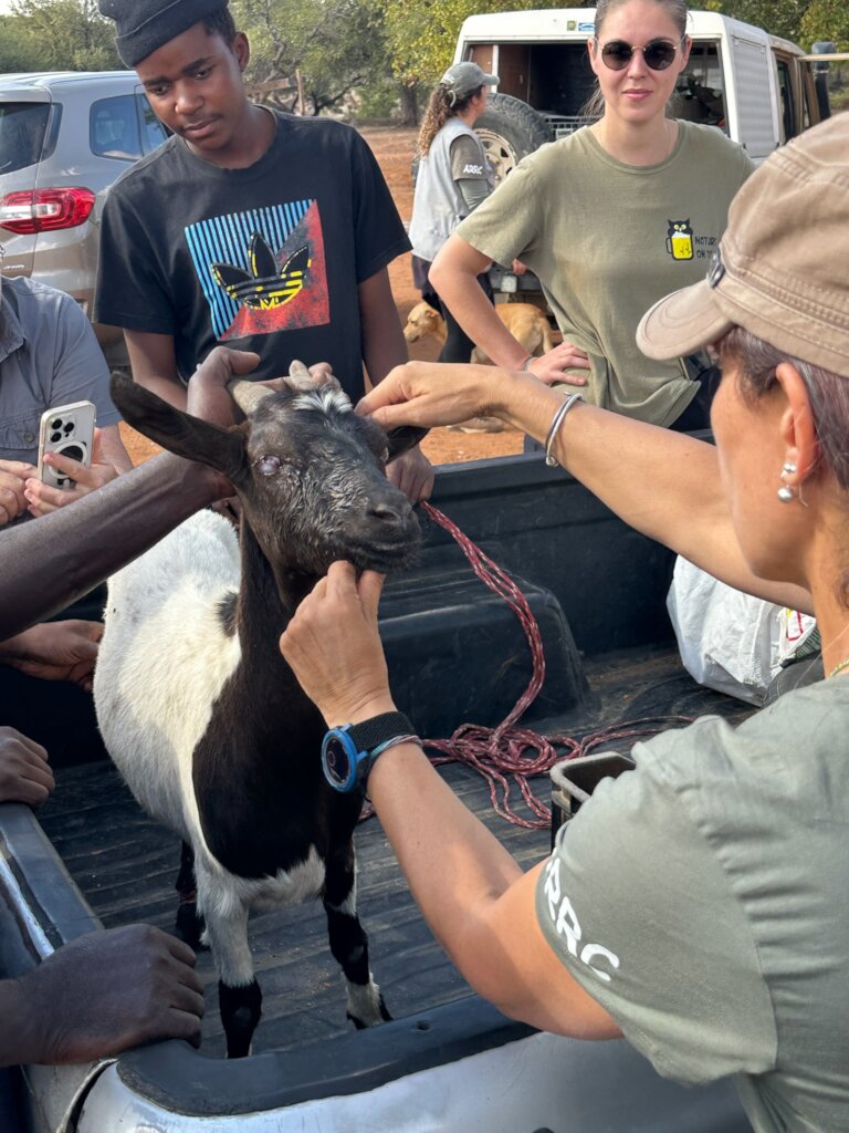 Purchase an Animal rescue and education vehicle - GlobalGiving