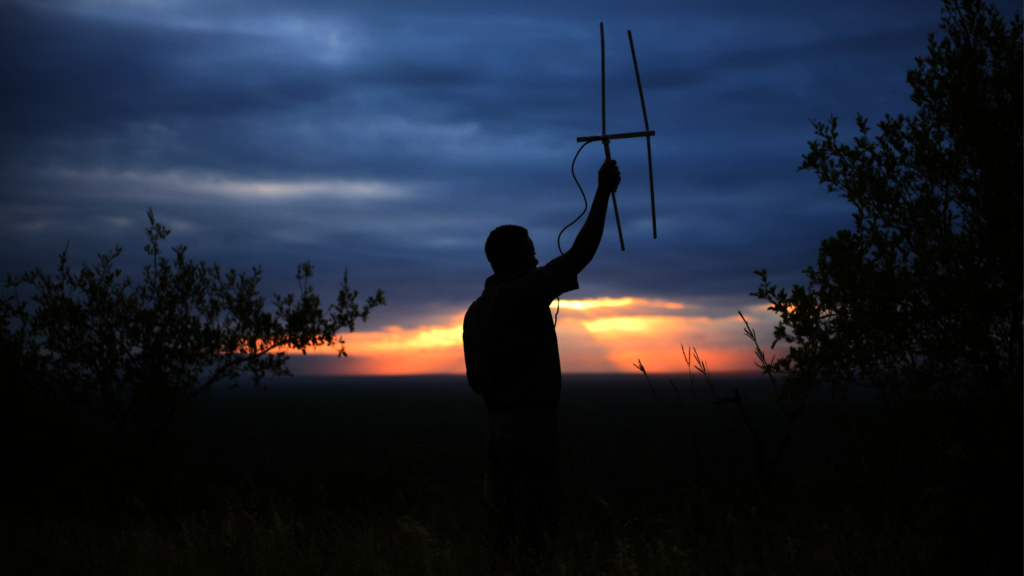 Elephants Alive Shepherd Program - GlobalGiving