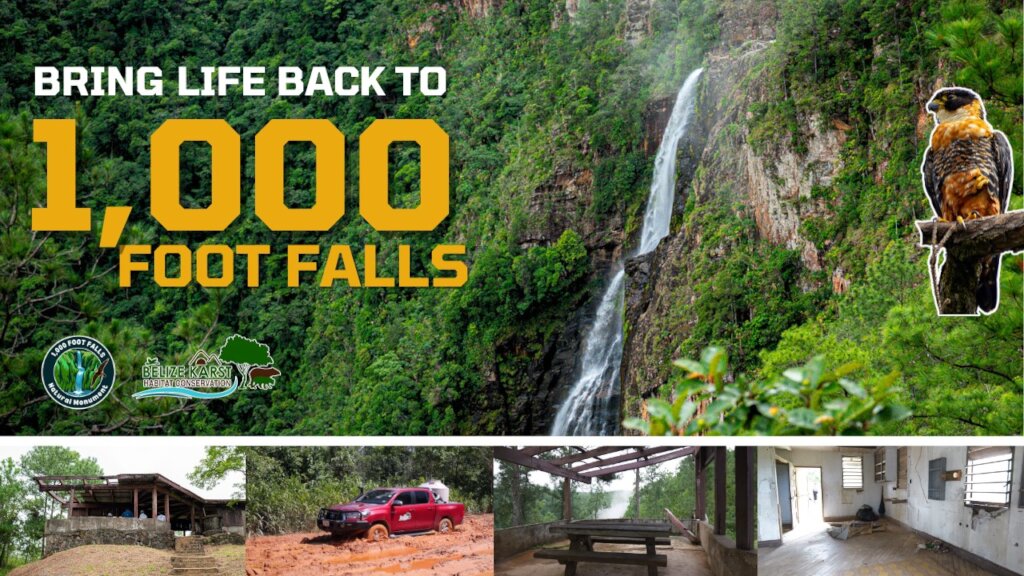Bring Life Back to 1000 Foot Falls - GlobalGiving