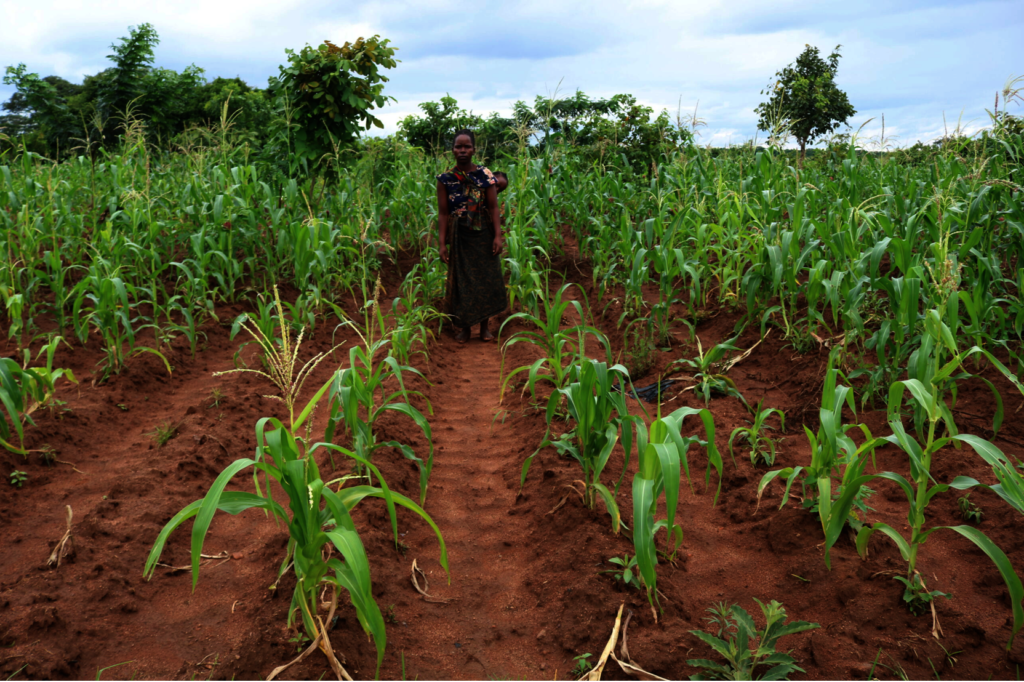 Energy & Environment Program - GlobalGiving