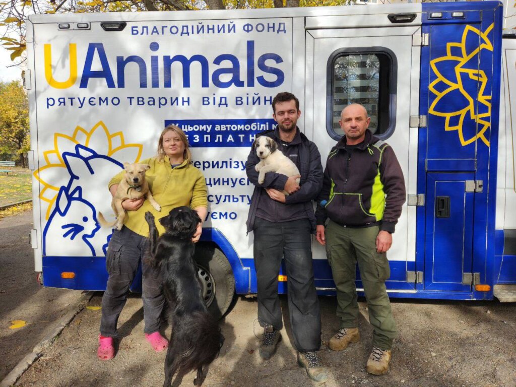 Mobile Vet Mission for Stray Animals in Ukraine - GlobalGiving
