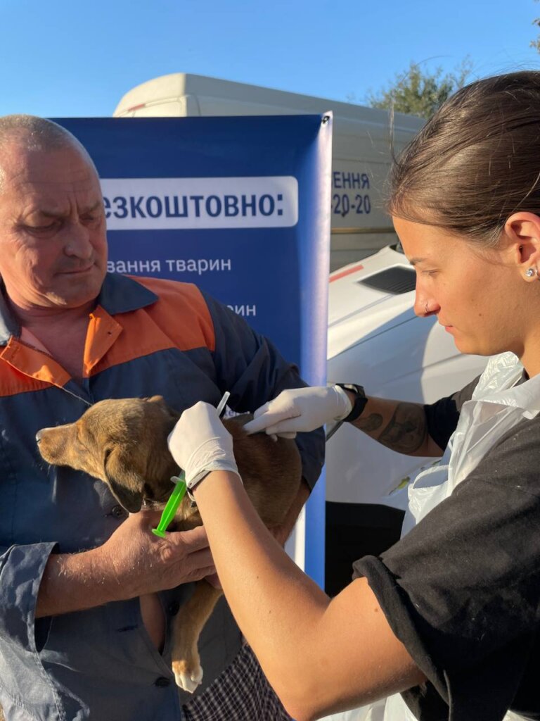 Mobile Vet Mission for Stray Animals in Ukraine - GlobalGiving