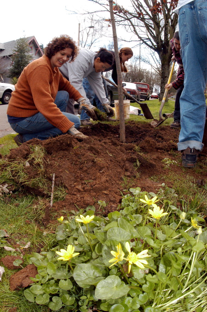 Support 116 environmental nonprofits! - GlobalGiving