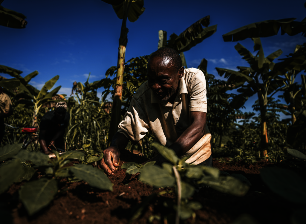 Empowerment Center and Demonstration Farm - GlobalGiving