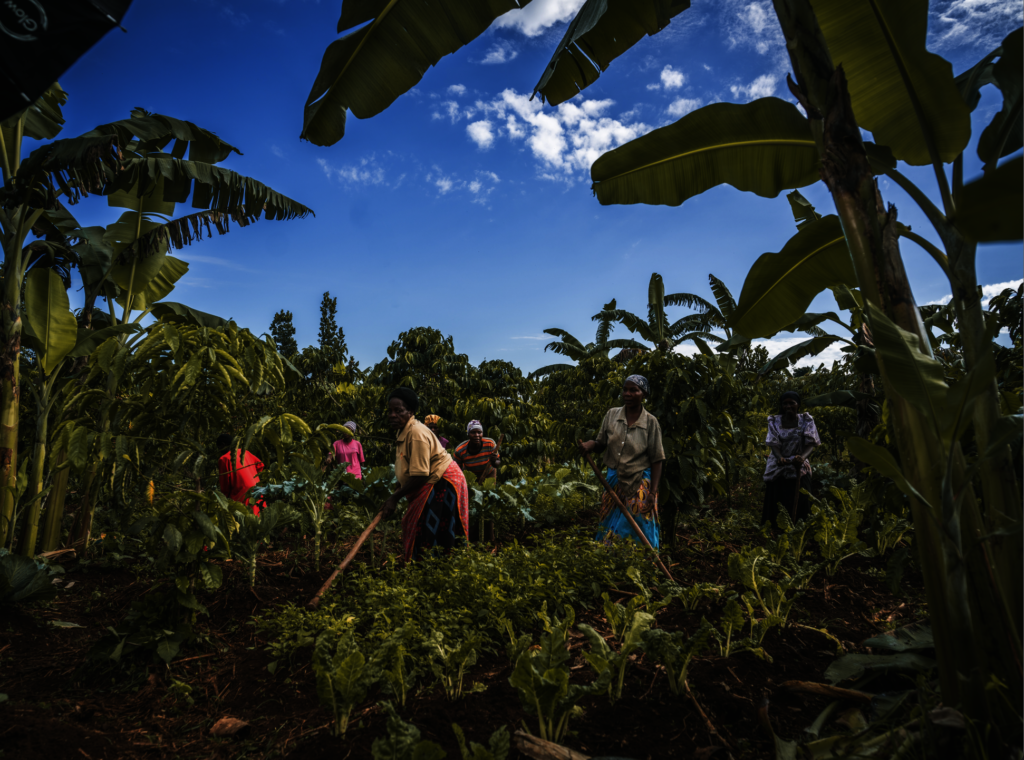 Donate to Empowerment Center and Demonstration Farm - GlobalGiving