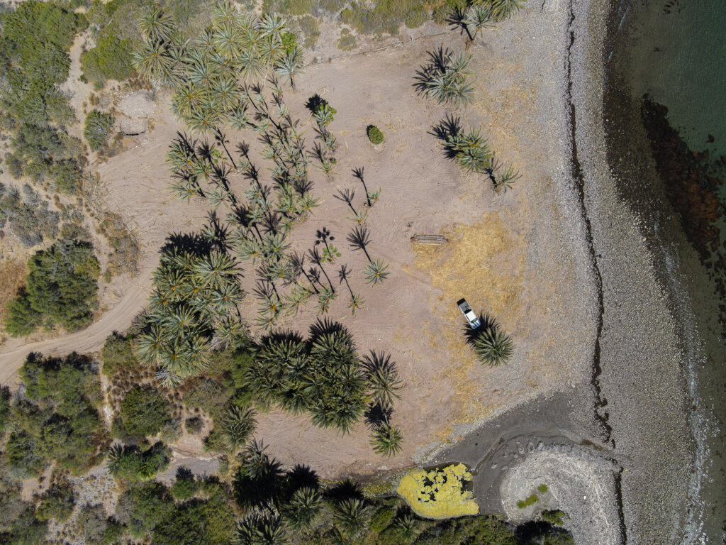 Nurturing environmental values in BCS Mexico - GlobalGiving