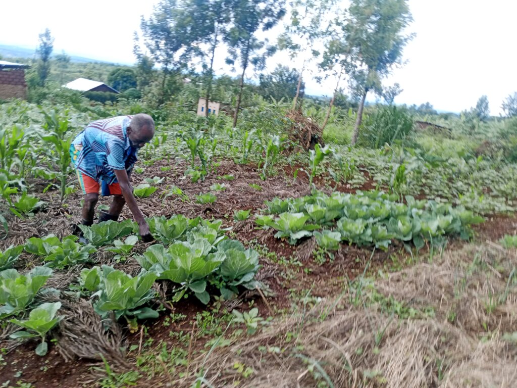 Sustainable garden beds and goats for villagers. - GlobalGiving