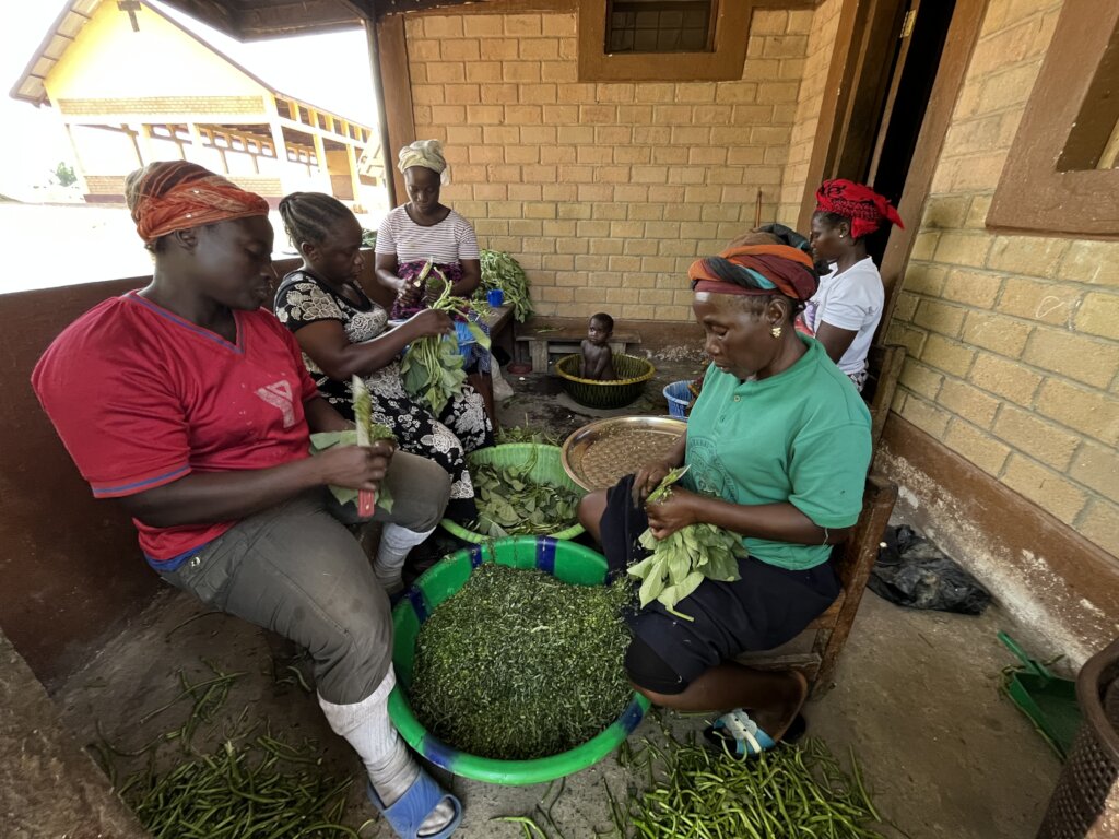 Feed 250 School Children in Rural Liberia ! - GlobalGiving