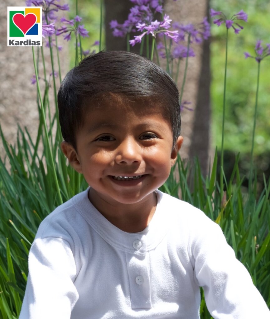 Kardias: Celebrating 25 Years of Changing Lives - GlobalGiving