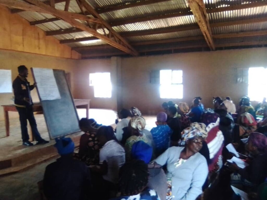 Donate to Micro-finance Fund for 1M Peasant Women in Africa. - GlobalGiving