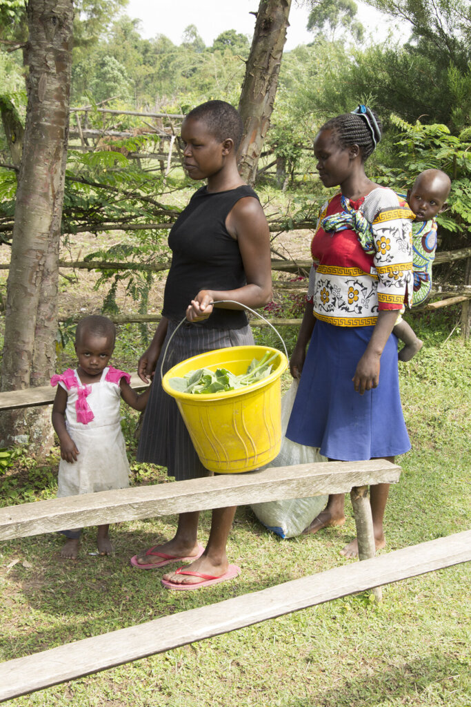 Help Small-Scale Farmers Thrive with the Till App. - GlobalGiving