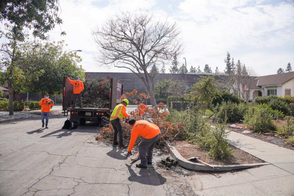 Support Urgent LA Wildfire Relief Efforts - GlobalGiving