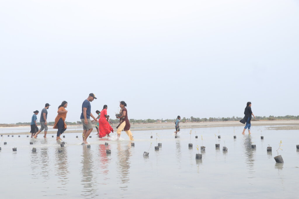 Donate to Restore Trees & Mangroves for a Greener Sri Lanka - GlobalGiving