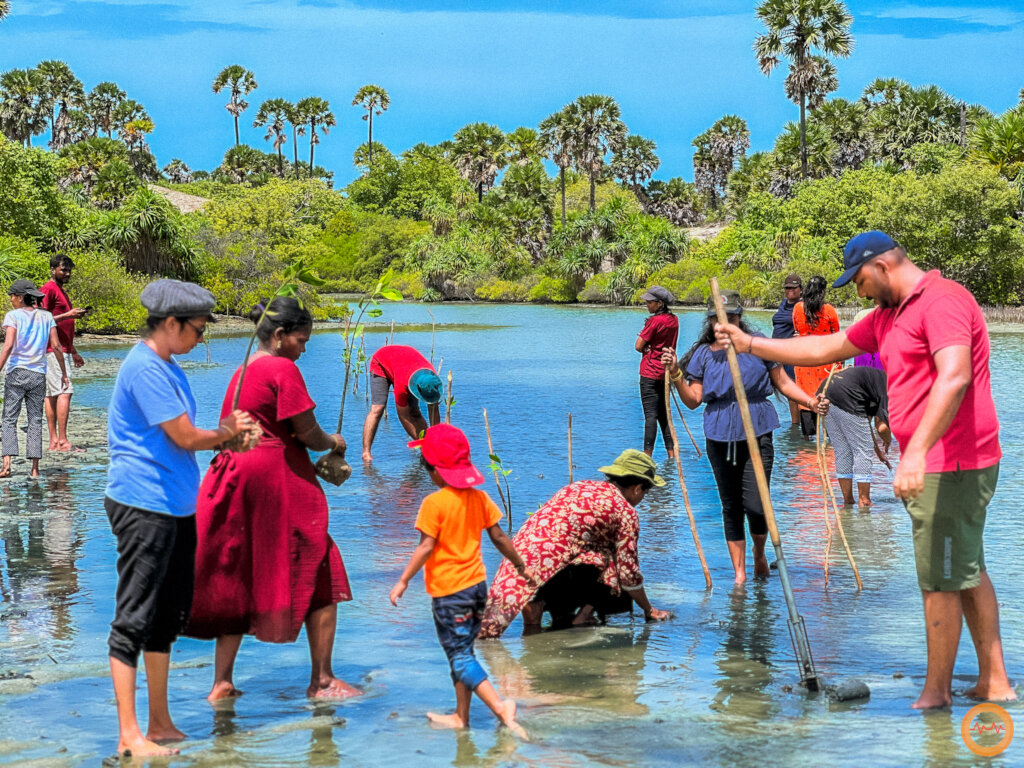 Donate to Restore Trees & Mangroves for a Greener Sri Lanka - GlobalGiving