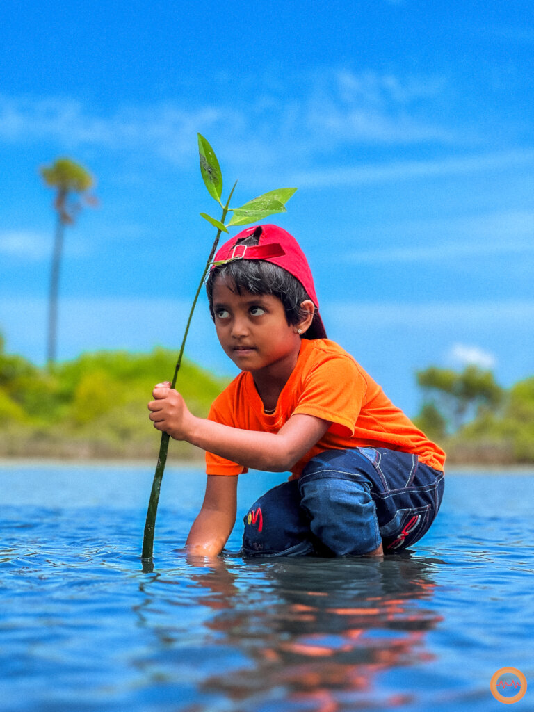 Restore Trees & Mangroves for a Greener Sri Lanka - GlobalGiving