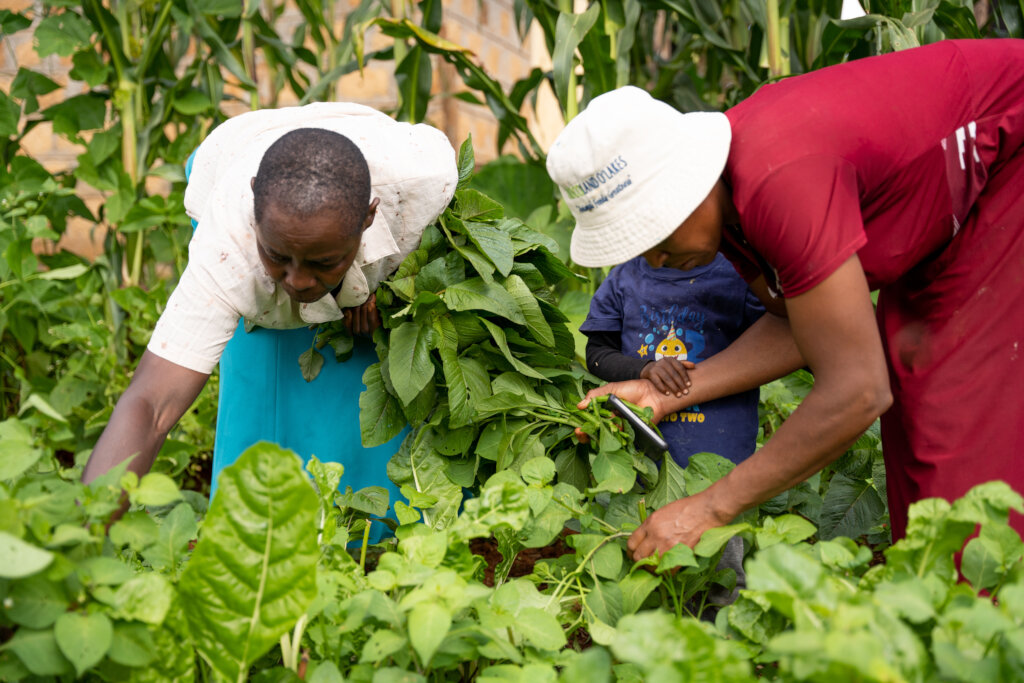 Lift 11,150 lives out of extreme poverty in Africa - GlobalGiving