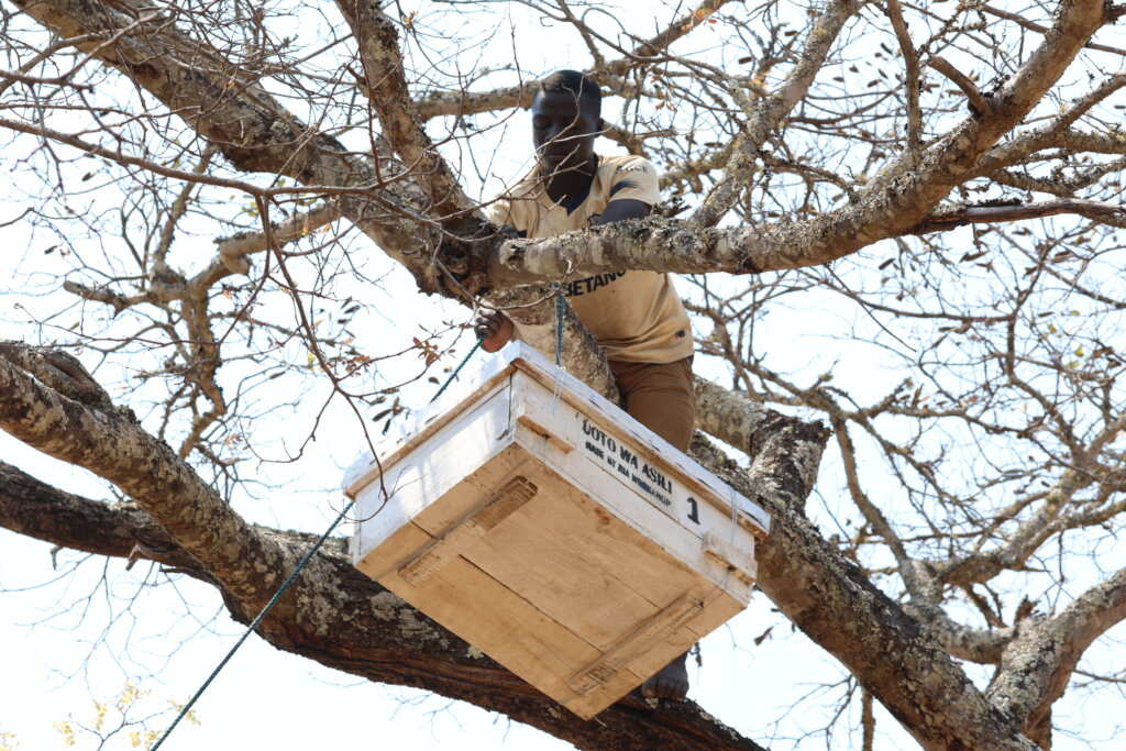 Support Youth to prevent environmental degradation - GlobalGiving