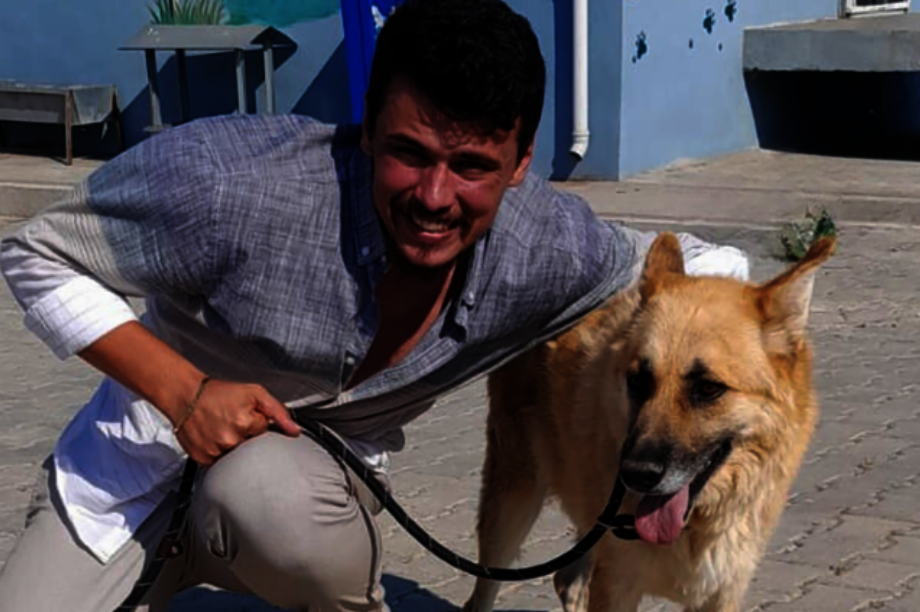 Saving The Stray Dogs Of Turkey From Culling - GlobalGiving