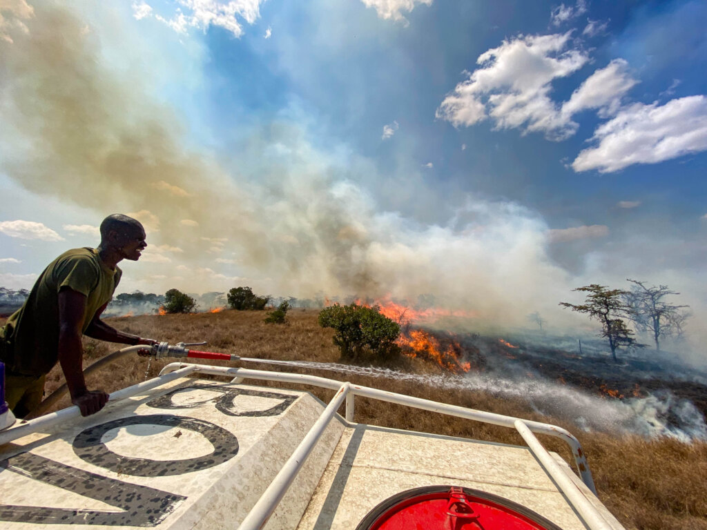 Fire Response and Future Resilience - GlobalGiving