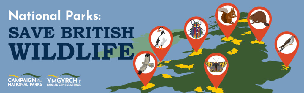 Save Wildlife in British National Parks - GlobalGiving