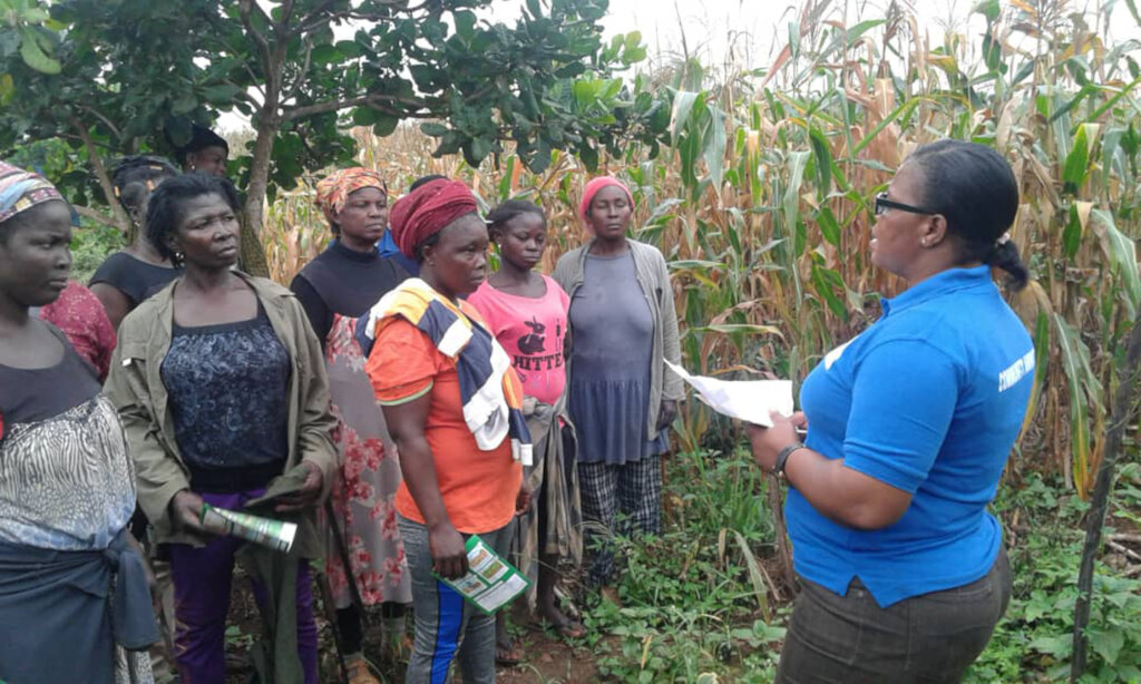 Innovative Climate-Smart Agriculture in Ghana - GlobalGiving