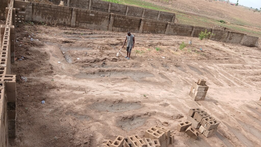 COMMUNITY TREE NURSERY FOR A GREENER NIGERIA - GlobalGiving