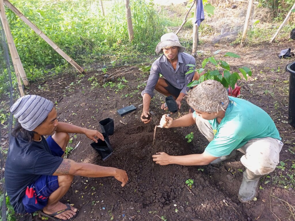 Trees for Bali: Grow a Tree, Save Our Bali - GlobalGiving