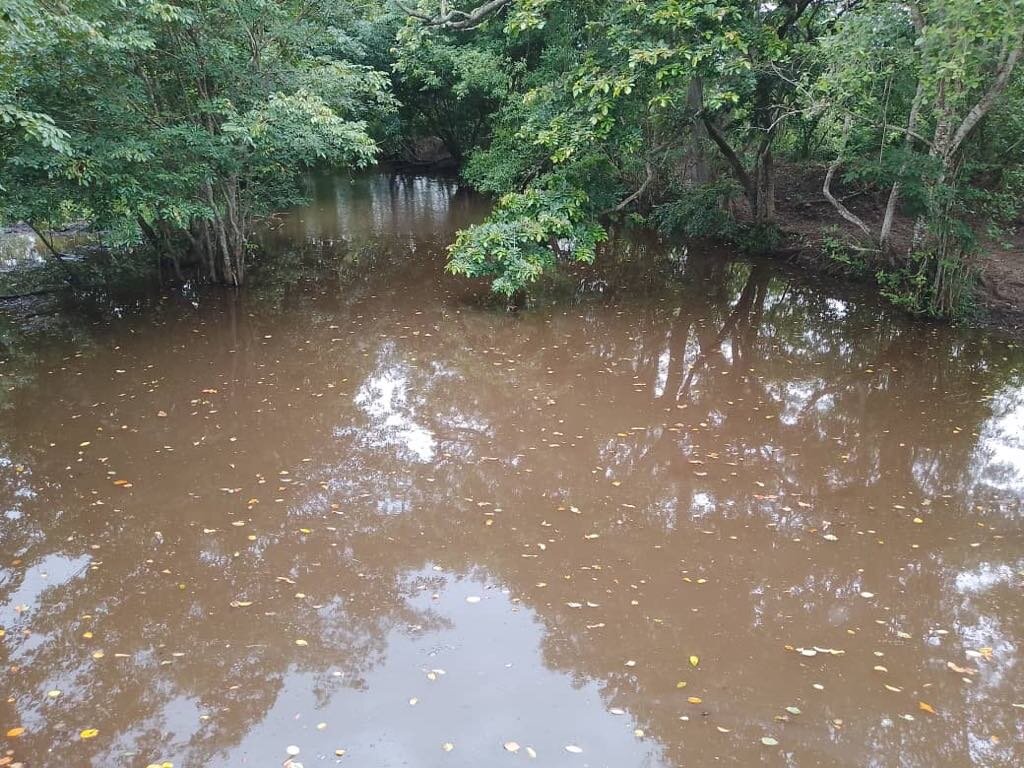 Bring Clean Water to 1,000 Lives in Rural Ghana - GlobalGiving