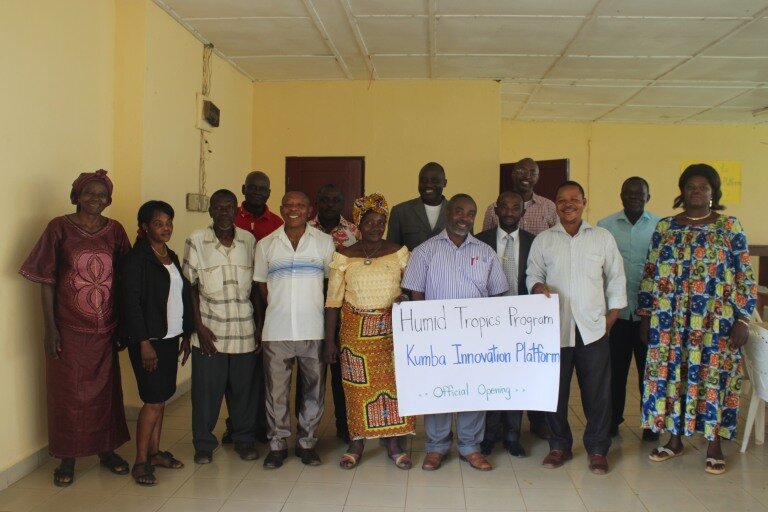 Cassava farming, Smart sustainable agriculture - GlobalGiving