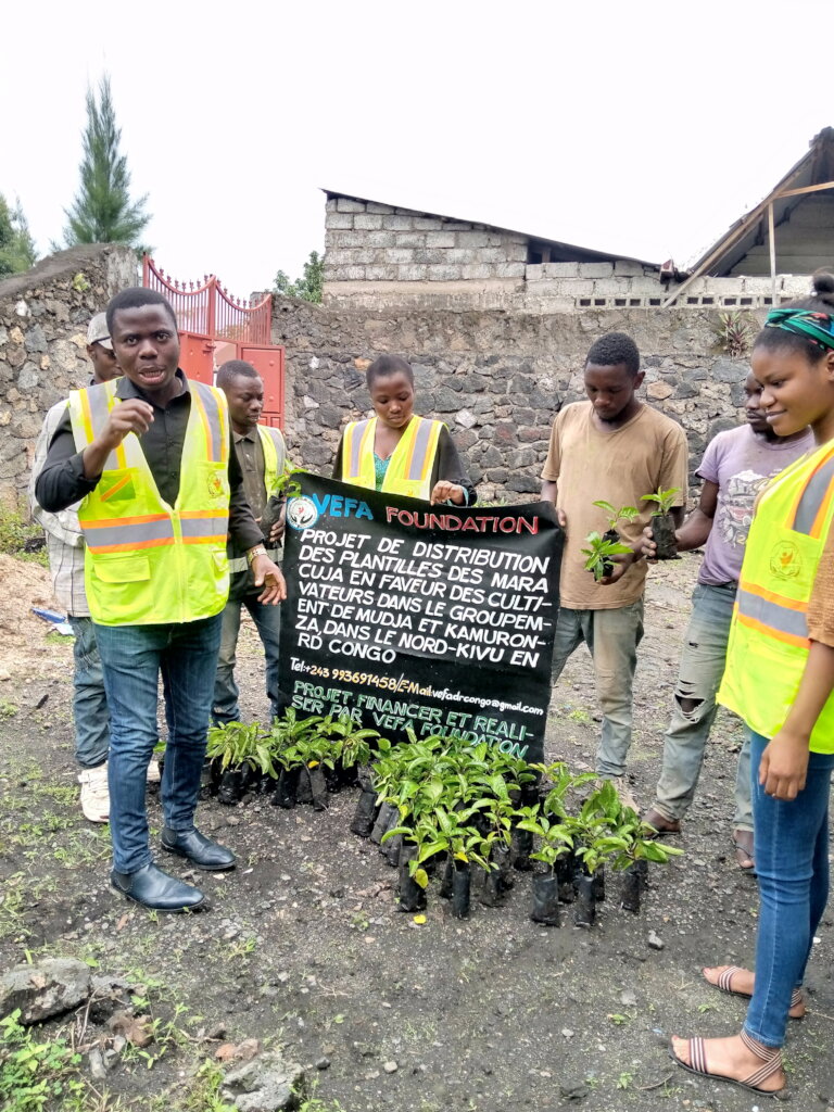 Donate to Plant Trees in Goma to Fight Climate Change - GlobalGiving