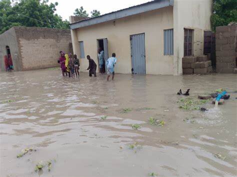 Rural Climate Resilience Awareness Campaign - GlobalGiving