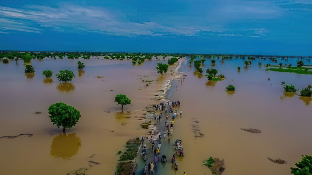 Rural Climate Resilience Awareness Campaign - GlobalGiving