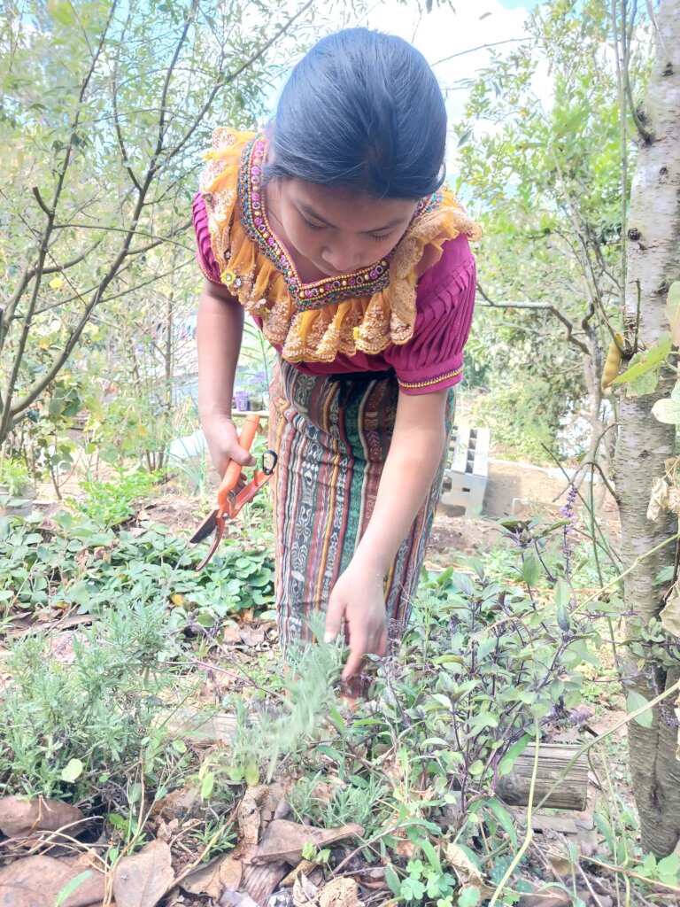 Garden of Hope Community Gardening Program - GlobalGiving