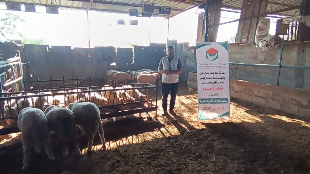 Qurbani Meat Distribution for Gaza - GlobalGiving