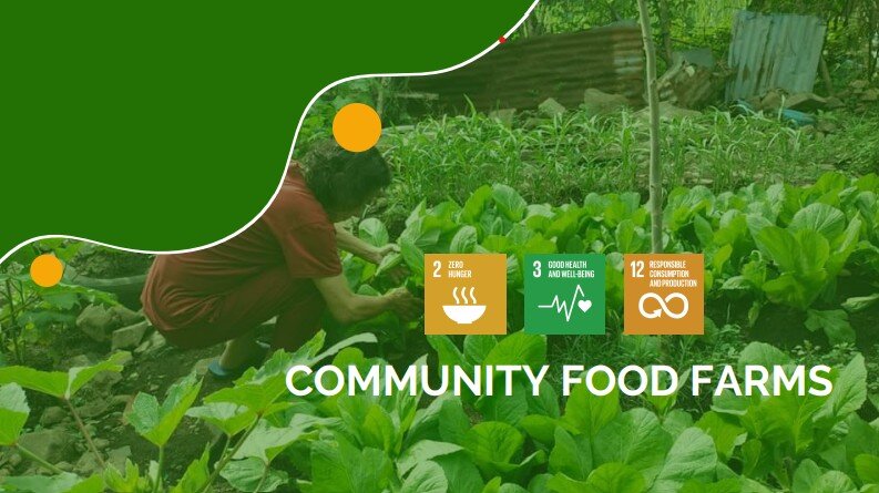 Grow Food, Feed Hope: Support PH Community Farms - GlobalGiving