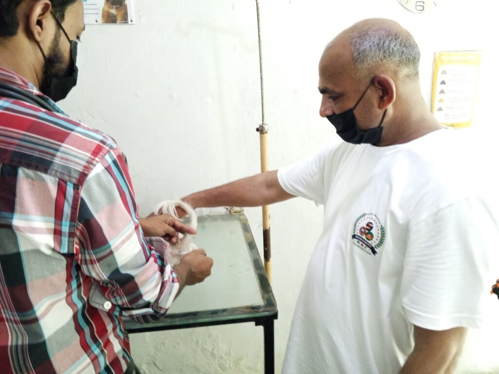 "Wounded & Alone-Stray Souls Need You in Pakistan" - GlobalGiving