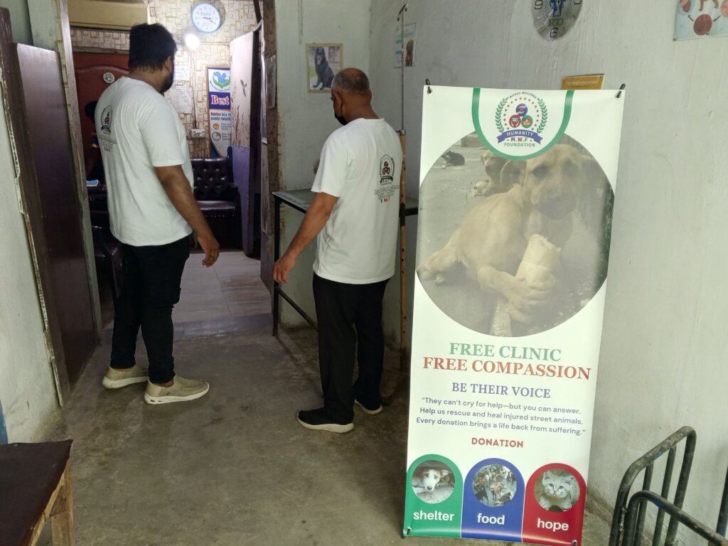 "Wounded & Alone-Stray Souls Need You in Pakistan" - GlobalGiving