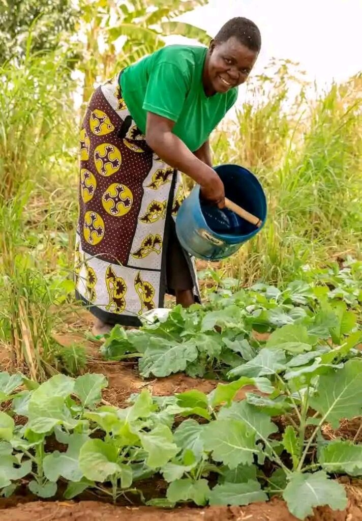 Train 600 slum refugees in organic horticulture - GlobalGiving