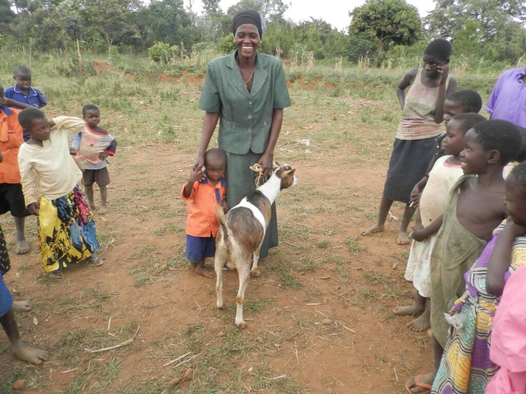 Give a Goat: Help 2,000 Ethiopian Women - GlobalGiving