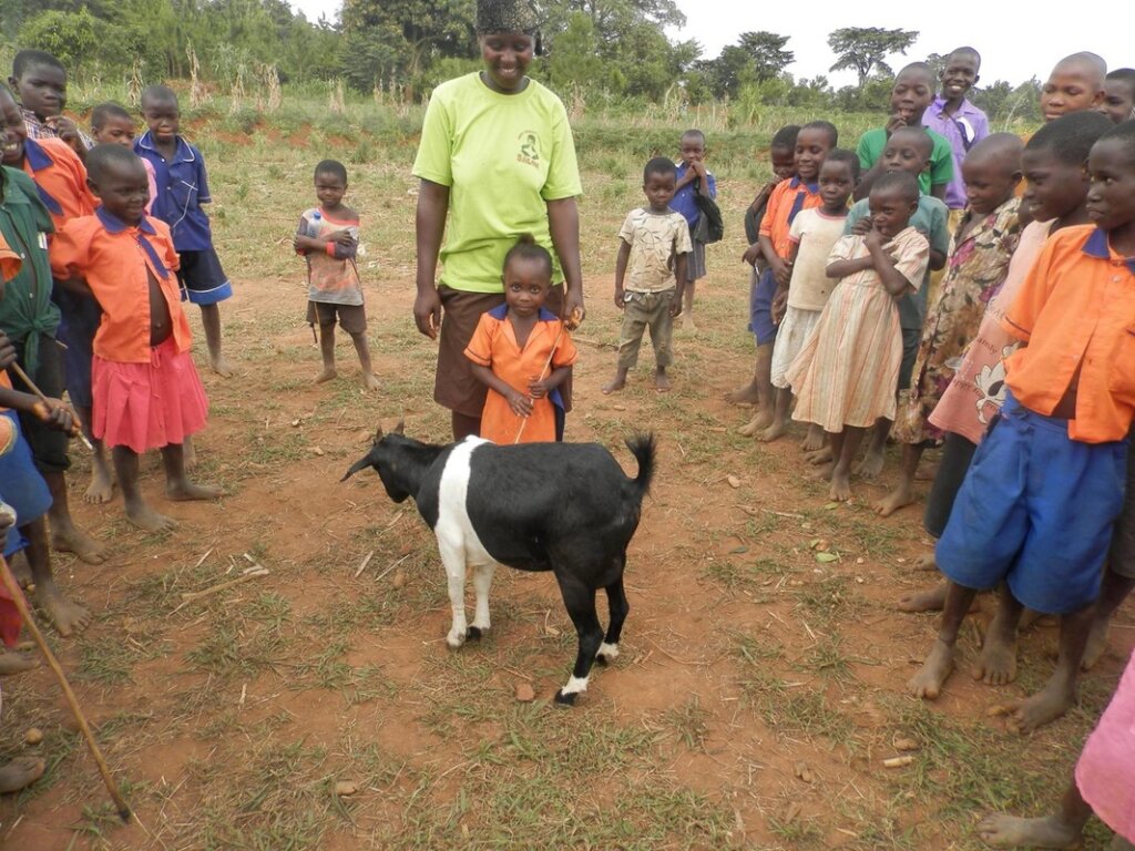 Reports on Give a Goat: Help 2,000 Ethiopian Women - GlobalGiving
