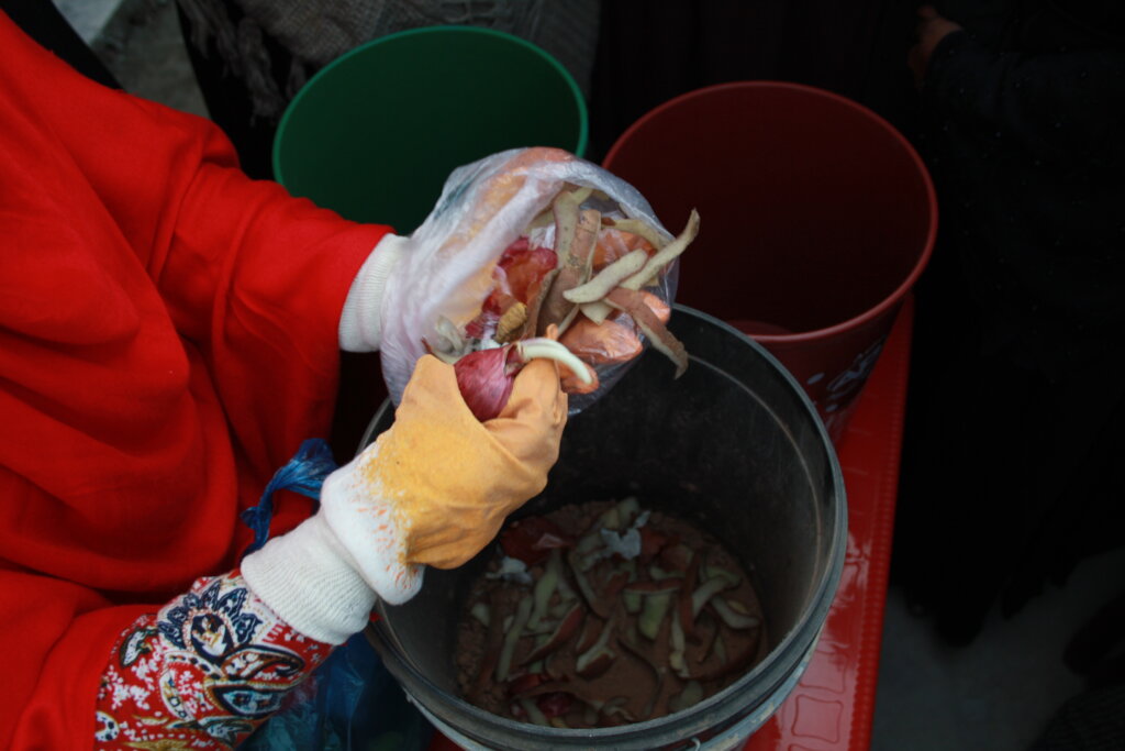 Environmental Protection in Pakistan's Urban Areas - GlobalGiving