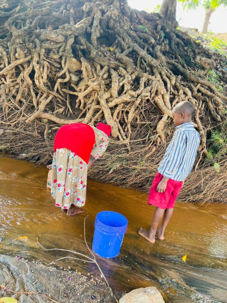 Transforming Lives: Clean Water Wells for Mpwapwa - GlobalGiving