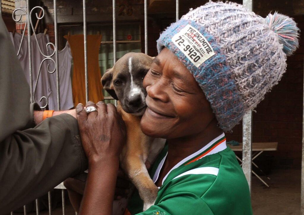 Help to End Pet Homelessness in Cape Town - GlobalGiving