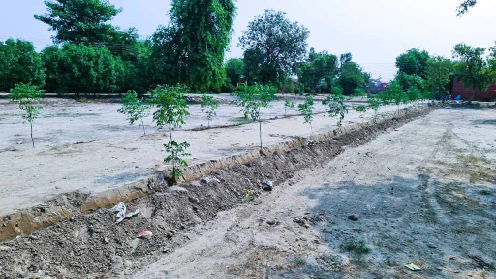 Train 500 Deaf Youth of Punjab in Green Skills - GlobalGiving