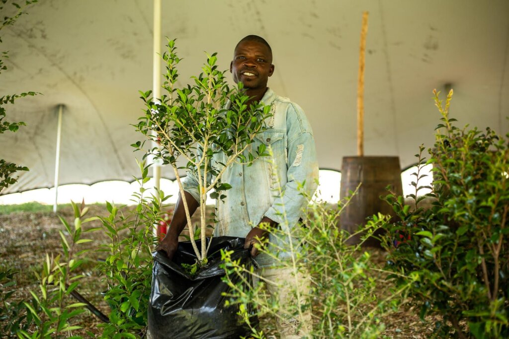 Restore Forest Ecosystems In Sub-Saharan Africa - GlobalGiving