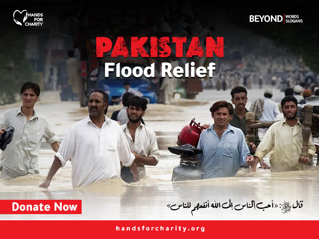 How to Share Pakistan Flood Relief - GlobalGiving