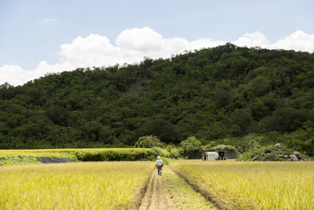 Donate to Good Rice Circle - Building a Sustainable Rice Fut - GlobalGiving