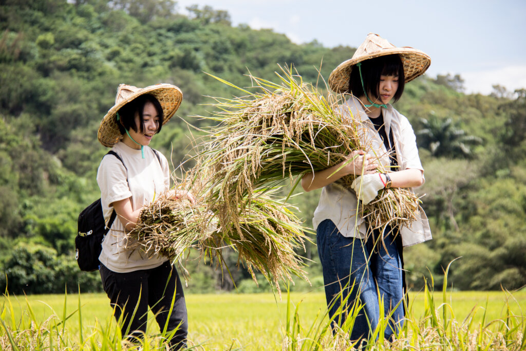 Donate to Good Rice Circle - Building a Sustainable Rice Fut - GlobalGiving