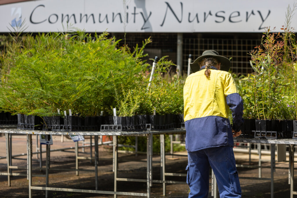 Landscape Resilience Program - GlobalGiving